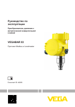 VEGA VEGABAR 83 Modbus and Levelmaster protocol - Operating ...